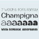 Champigna Comic Family, Fonts | GraphicRiver