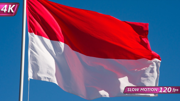State Flag Of Indonesia, Stock Footage | VideoHive