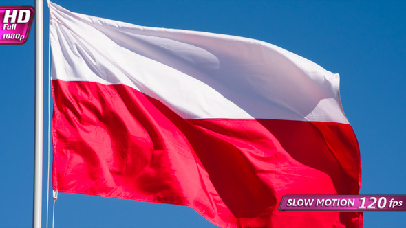 State Flag Of Poland, Stock Footage | VideoHive