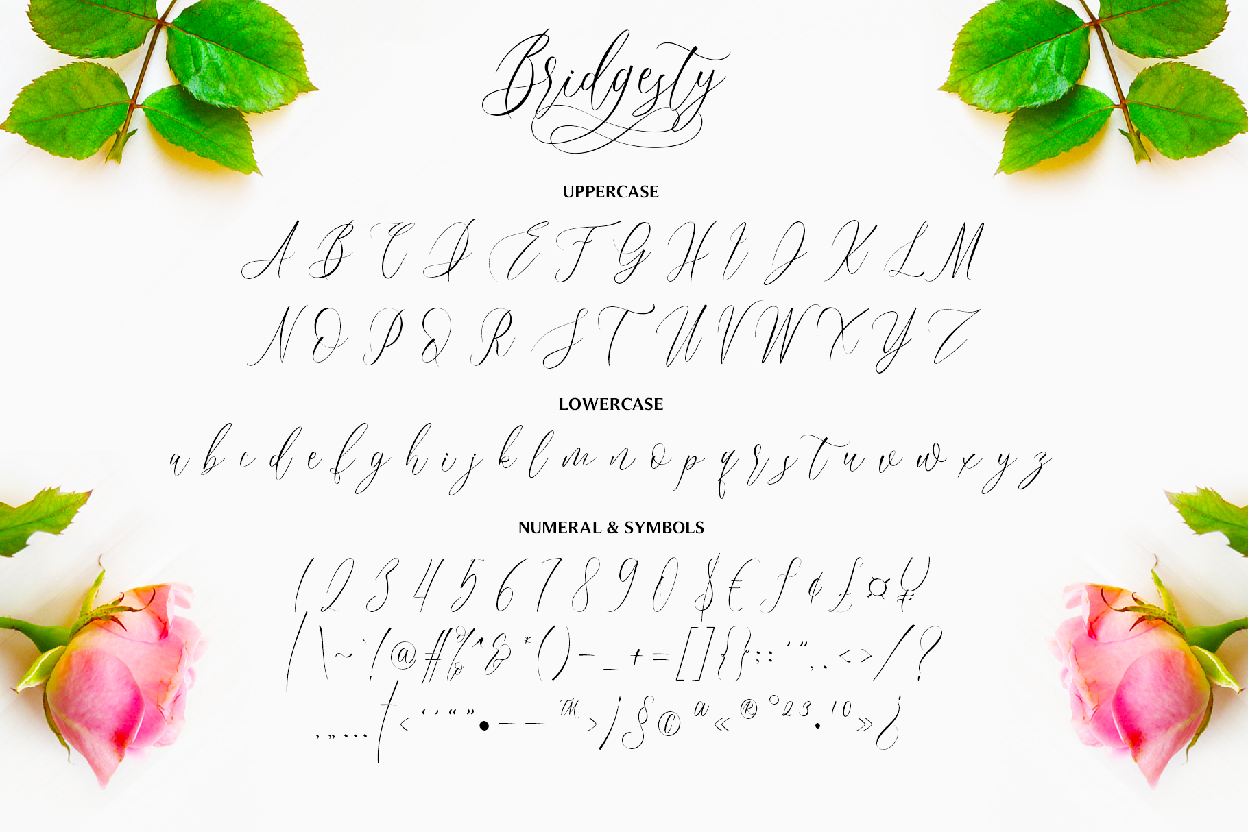 Bridgesty Lovely Script Font, Fonts | GraphicRiver