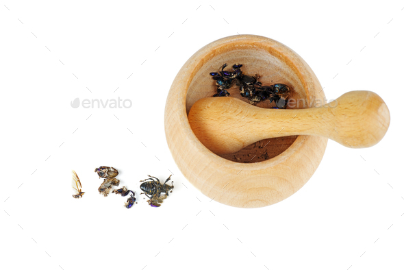 Witchery tools and ingredient: pestle and mortar with grinded beetles ...