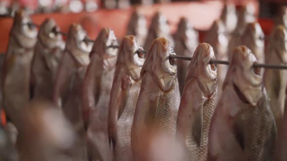 Processing Dried Fish at a Fish Factory. Fish Drying. Fish Seafood ...