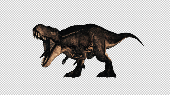 T Rex, Motion Graphics | VideoHive