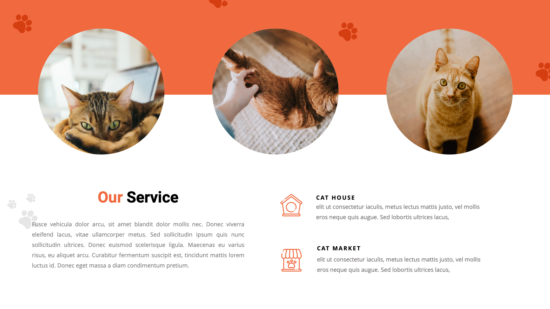 Kitty - Cat Animal Google Slides Template, Presentation Templates ...