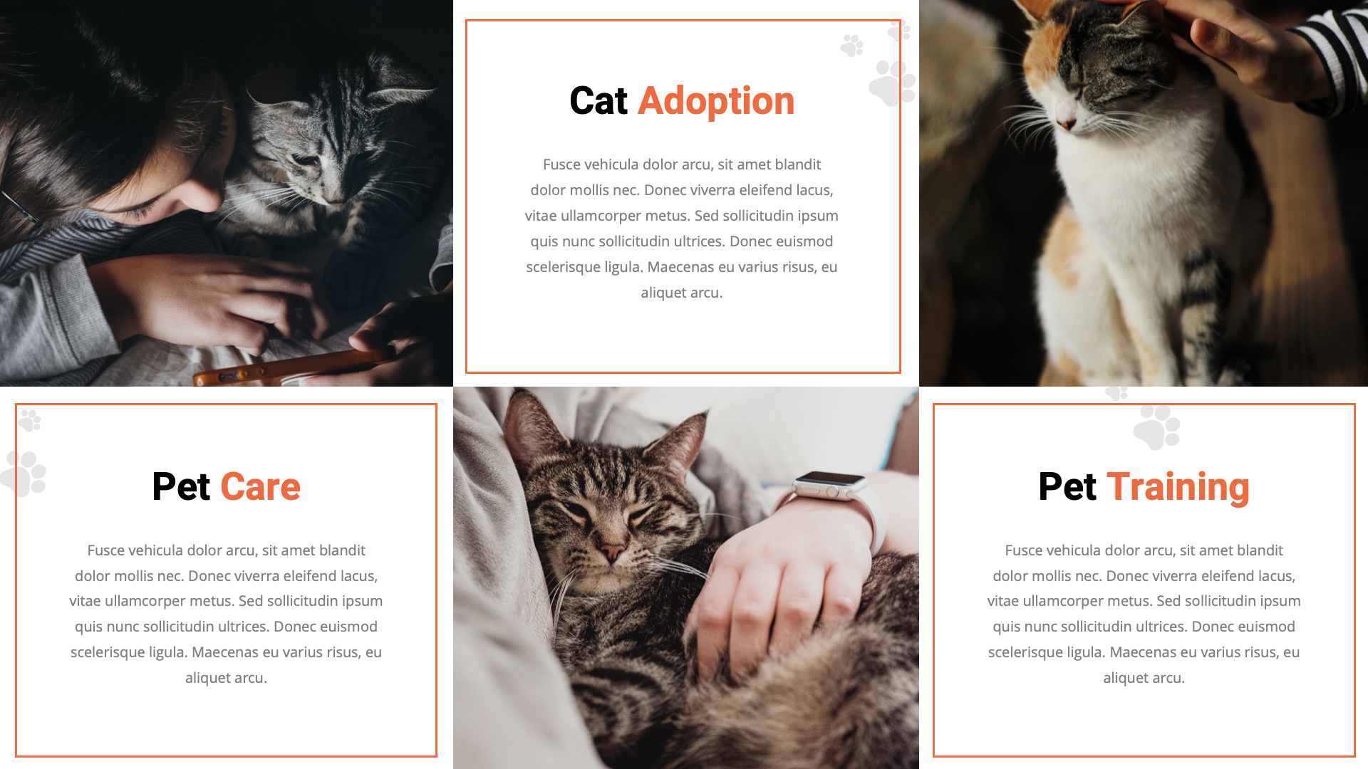 Kitty - Cat Animal Google Slides Template, Presentation Templates ...