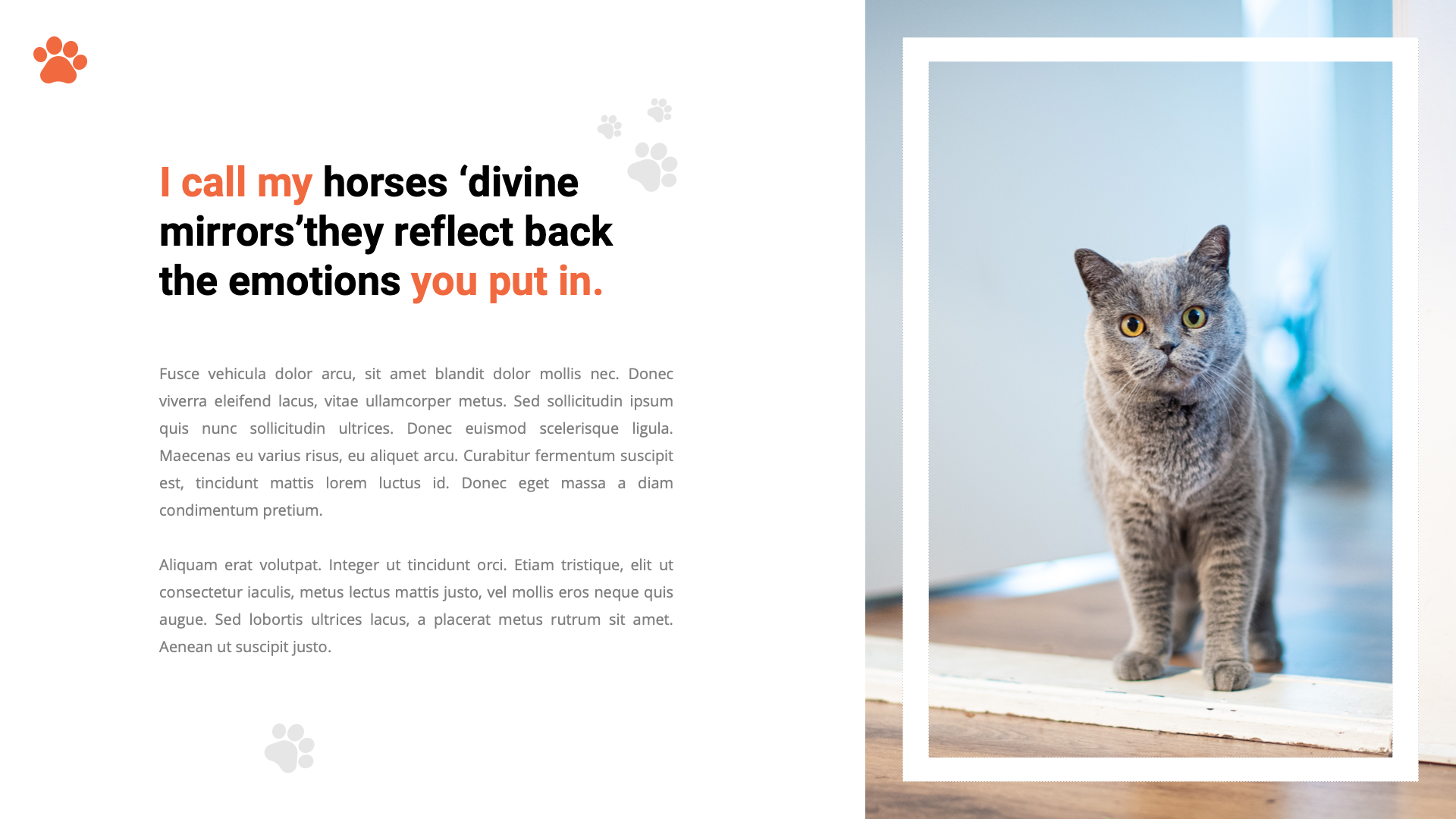 Kitty - Cat Animal Google Slides Template, Presentation Templates ...