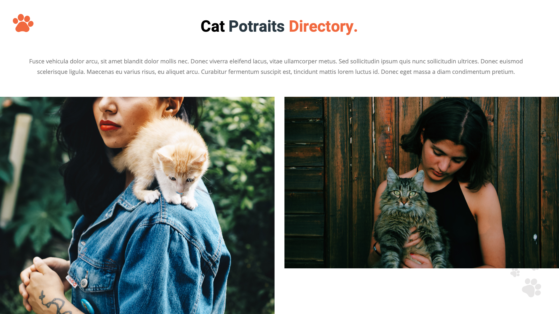 Kitty - Cat Animal Google Slides Template, Presentation Templates ...