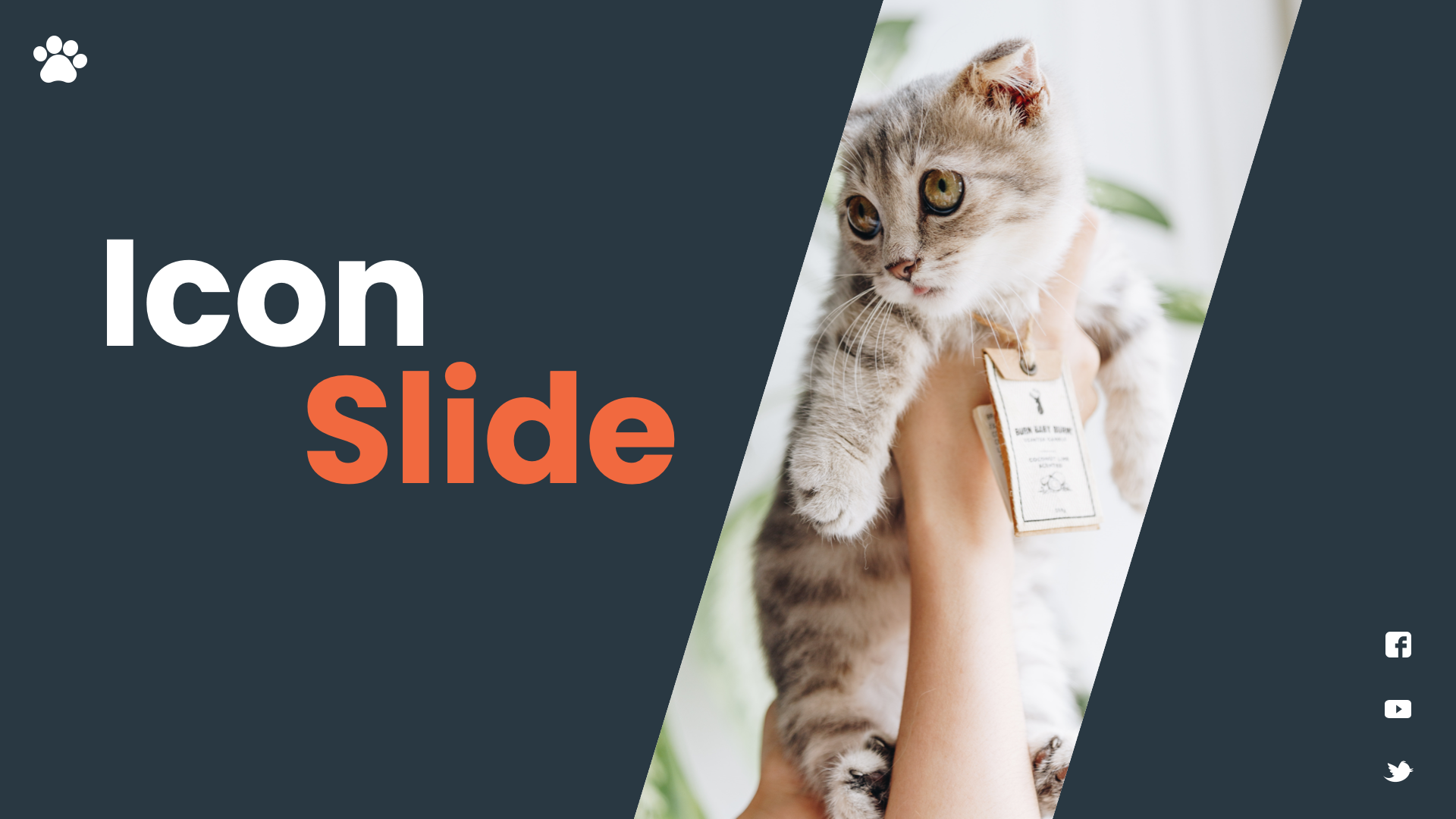 Kitty - Cat Animal Google Slides Template, Presentation Templates ...