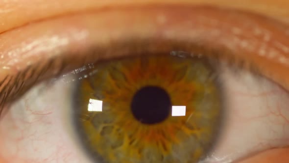 Eye, Stock Footage | VideoHive