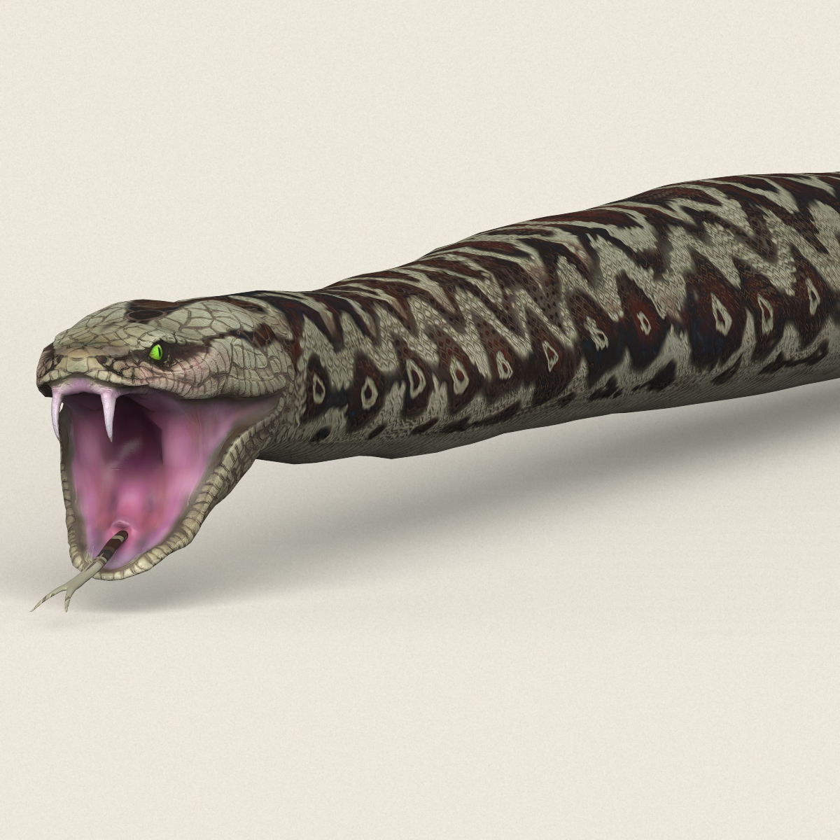 Low poly Realistic Anaconda by cghriggs | 3DOcean