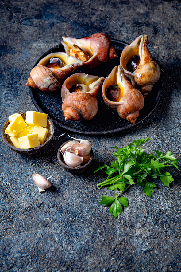 Raw Snails escargots, and ingredients. Top view. Stock Photo by lblinova
