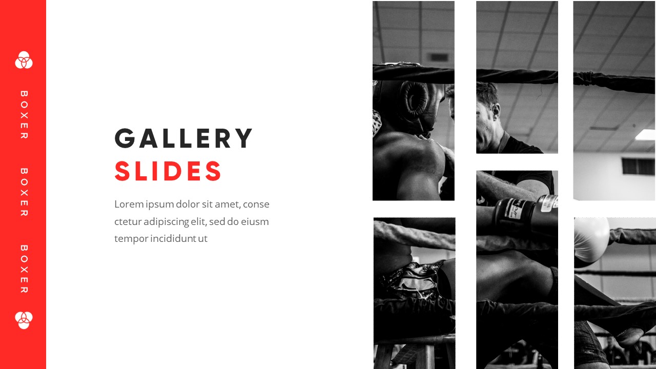 Boxer - Boxing and Sports Powerpoint Template, Presentation Templates