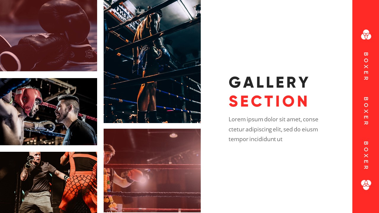Boxer - Boxing and Sports Powerpoint Template, Presentation Templates