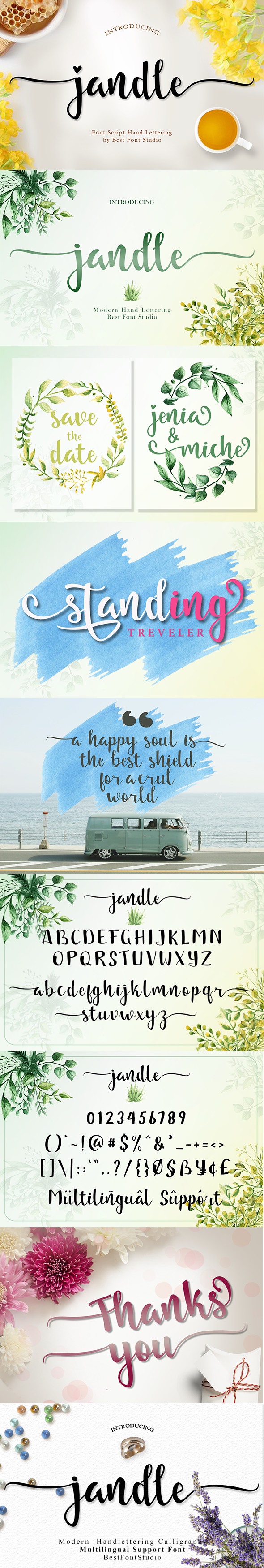 Jandle Script, Fonts | GraphicRiver