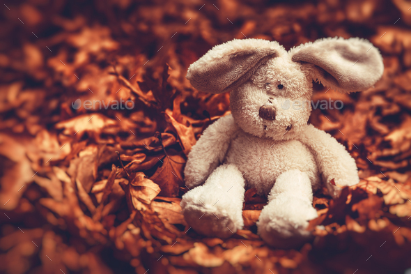 Little sad rabbit Stock Photo by Anna_Om | PhotoDune