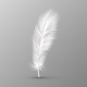 Realistic Feather, Vectors | GraphicRiver