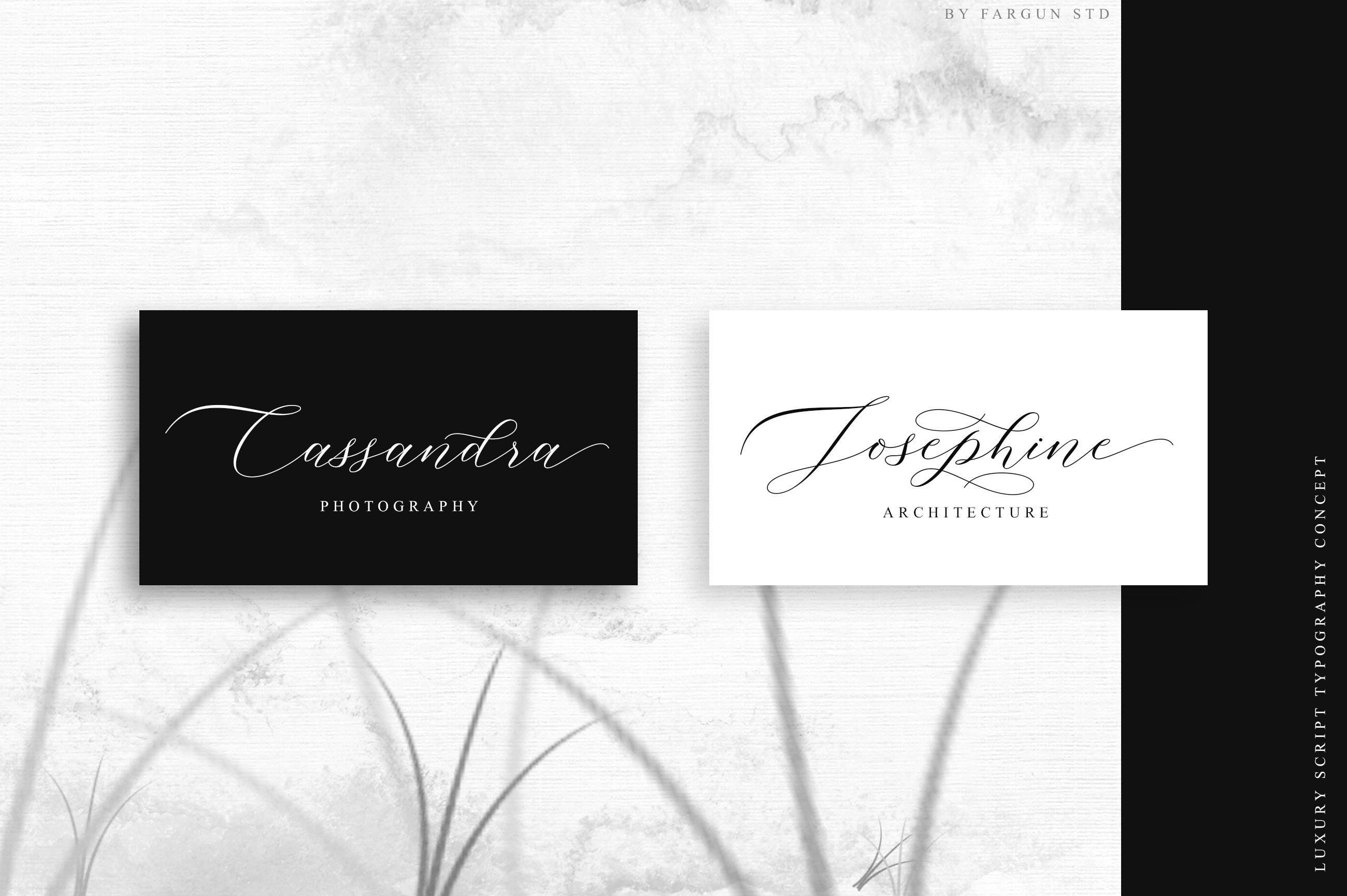 Hello Diandra, Fonts | GraphicRiver