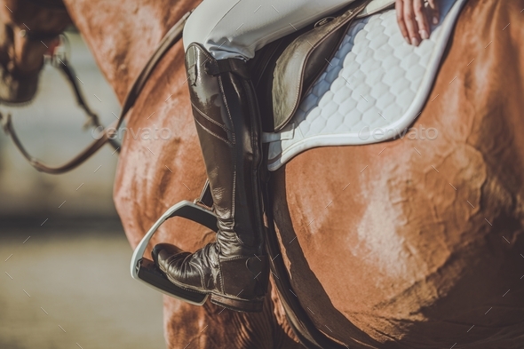 Horse Riding Stirrups Stock Photo by duallogic | PhotoDune