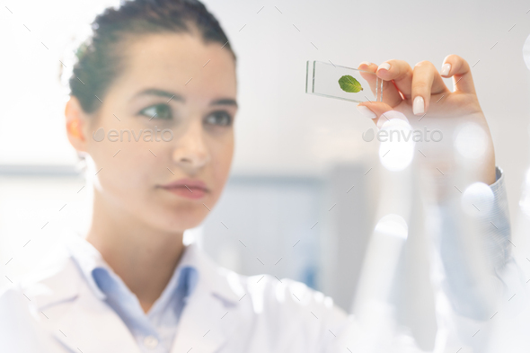 Field biologist performing laboratory analysis Stock Photo by ...