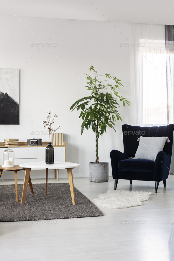 Black and white abstract painting on empty wall of cozy living room ...