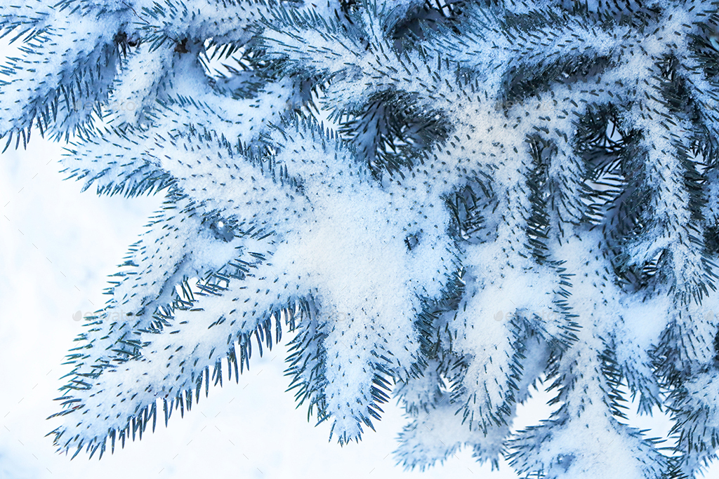 13 Blue Tree Background Textures, Textures | GraphicRiver