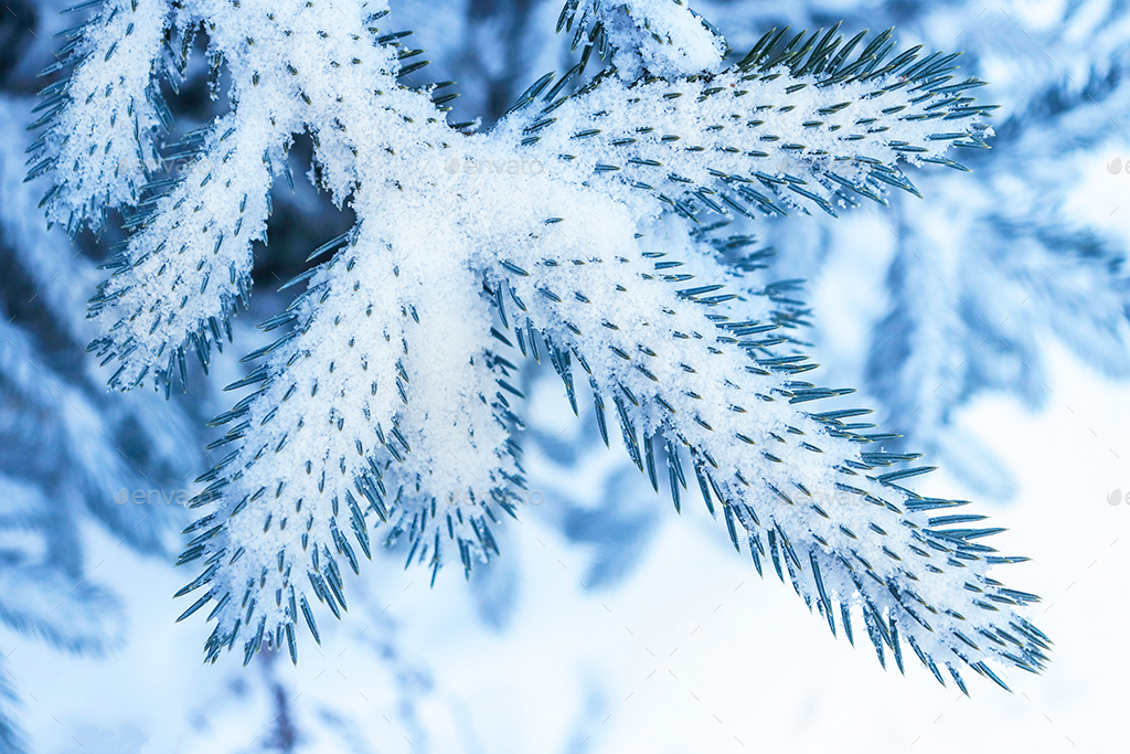 13 Blue Tree Background Textures, Textures | GraphicRiver