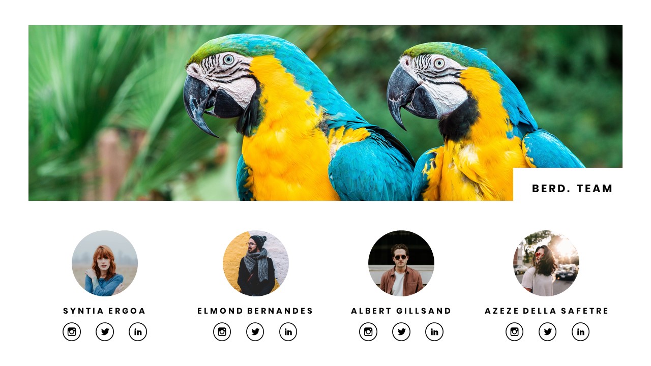 Berd - Animal and Pets Powerpoint Presentation Templates, Presentation ...