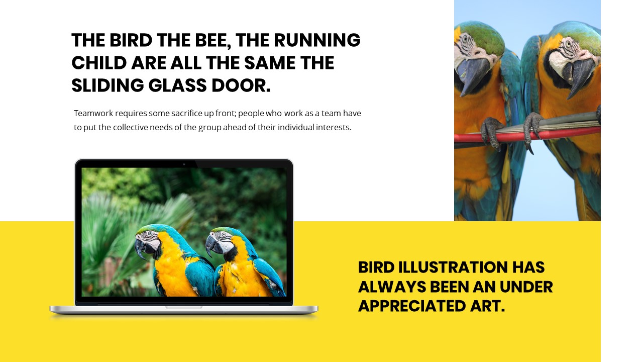 Berd - Animal and Pets Powerpoint Presentation Templates, Presentation ...