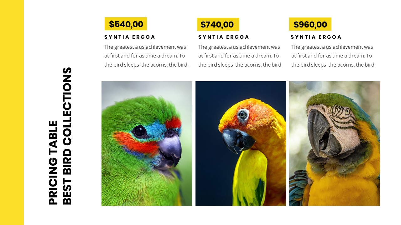 Berd - Animal and Pets Powerpoint Presentation Templates, Presentation ...