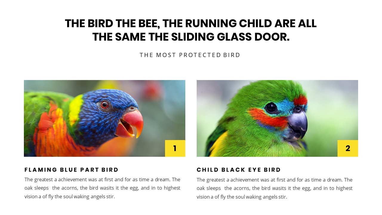Berd - Animal and Pets Powerpoint Presentation Templates, Presentation ...