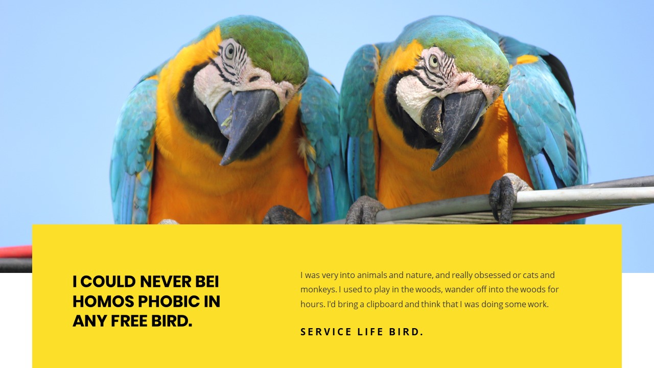 Berd - Animal and Pets Powerpoint Presentation Templates, Presentation ...