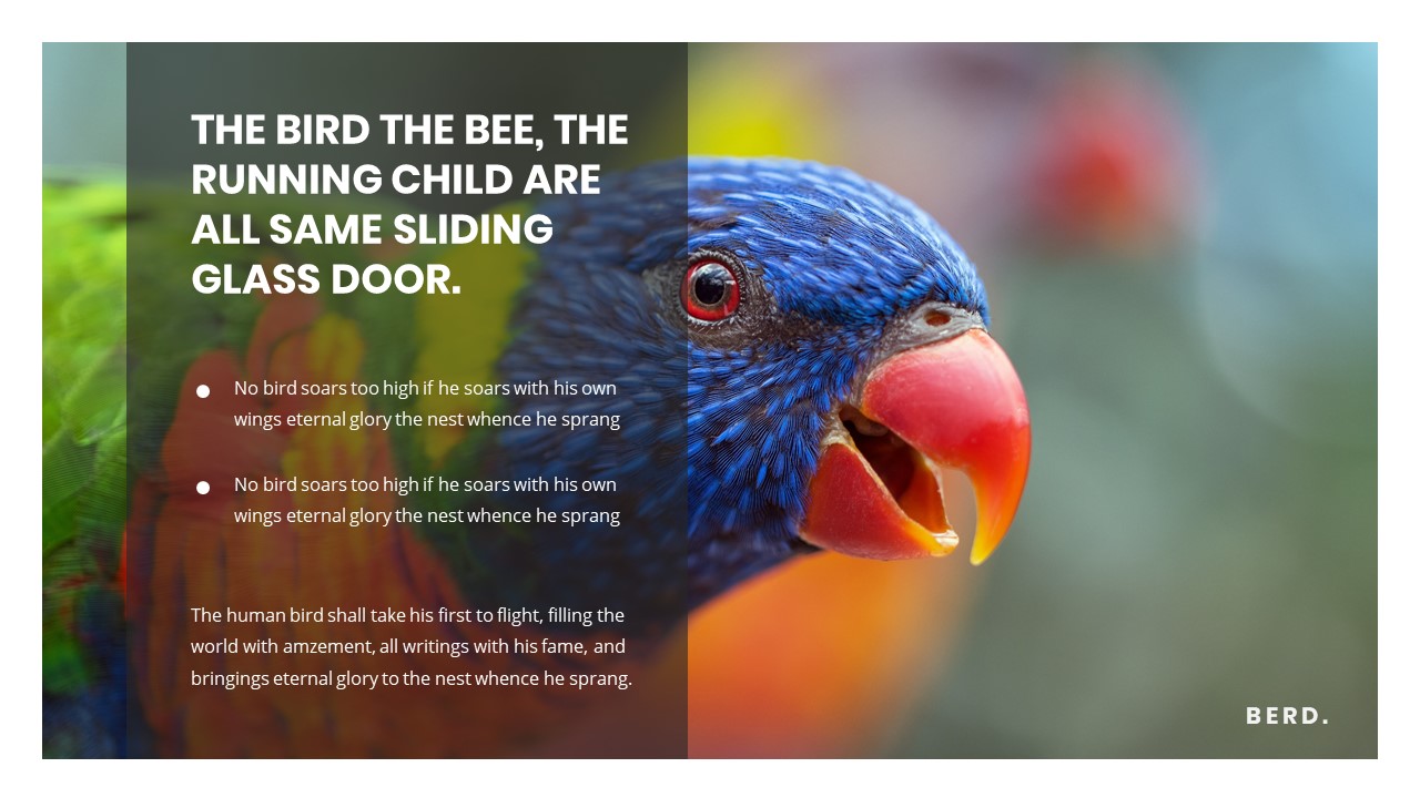 Berd - Animal and Pets Powerpoint Presentation Templates, Presentation ...