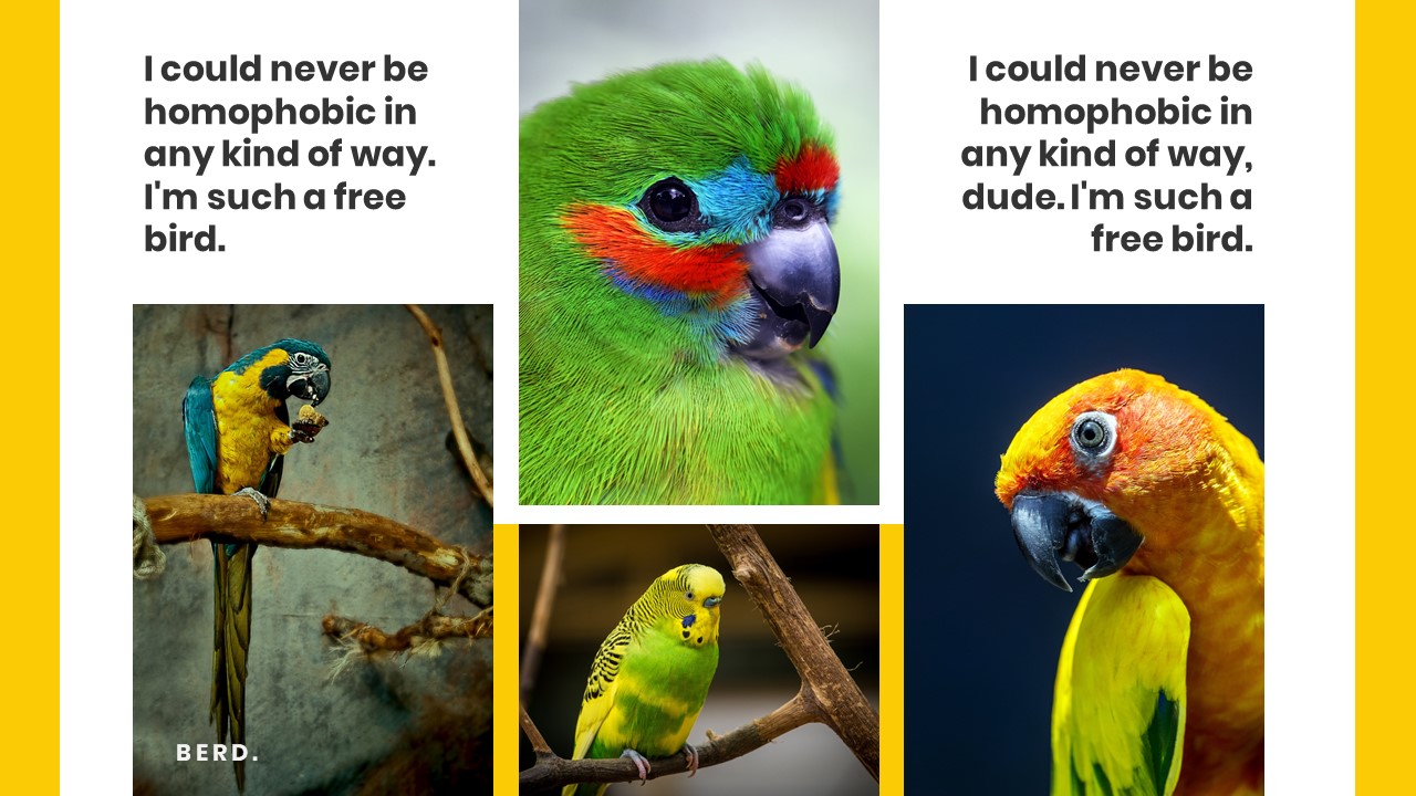 Berd - Animal and Pets Powerpoint Presentation Templates, Presentation ...