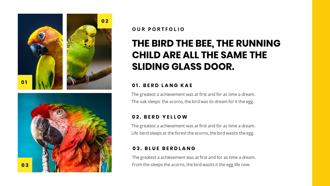Berd - Animal and Pets Powerpoint Presentation Templates, Presentation ...