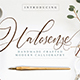 Halosense Script, Fonts | GraphicRiver