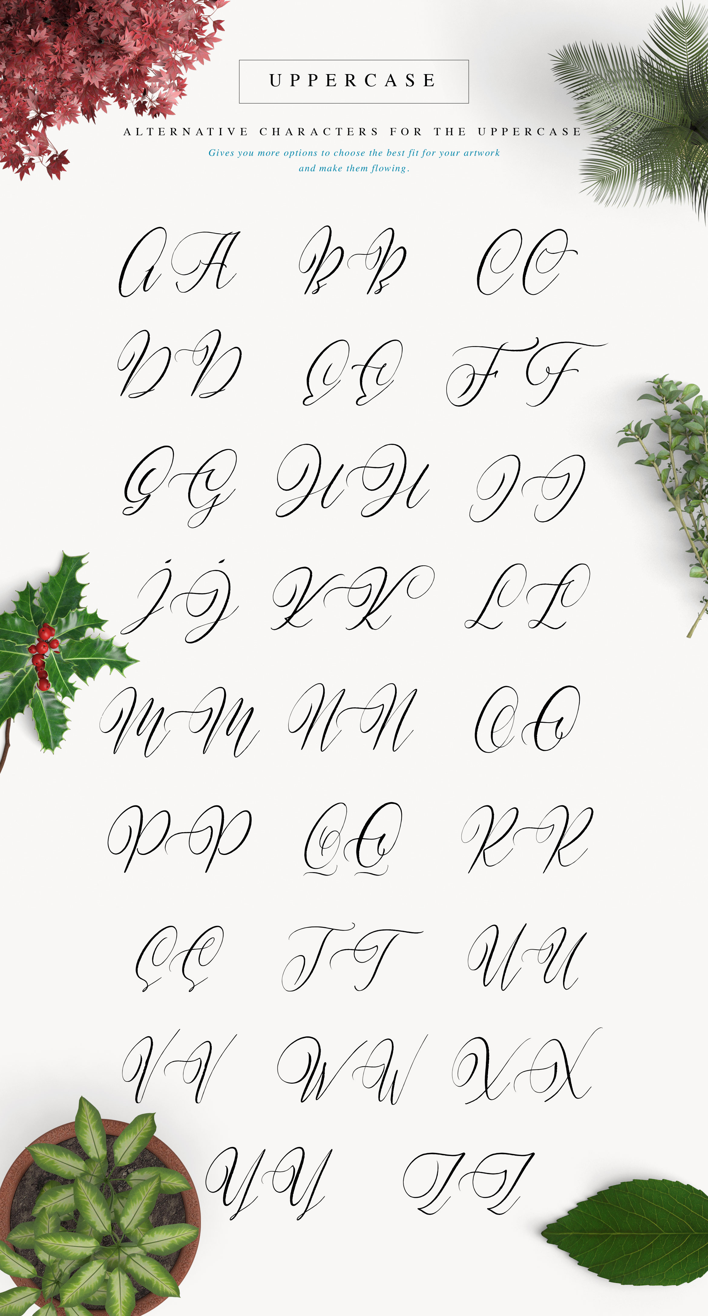 Halosense Script, Fonts | GraphicRiver