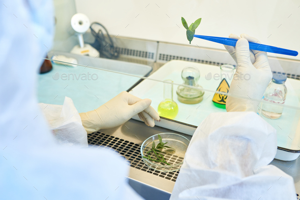 Biological sample as material for experiment Stock Photo by ...