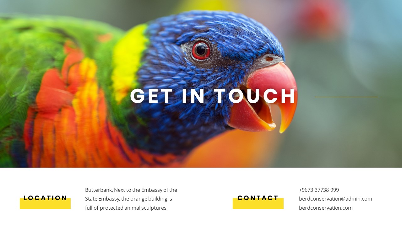 Animal and Pets Keynote Presentation Template by NeatureVisual ...