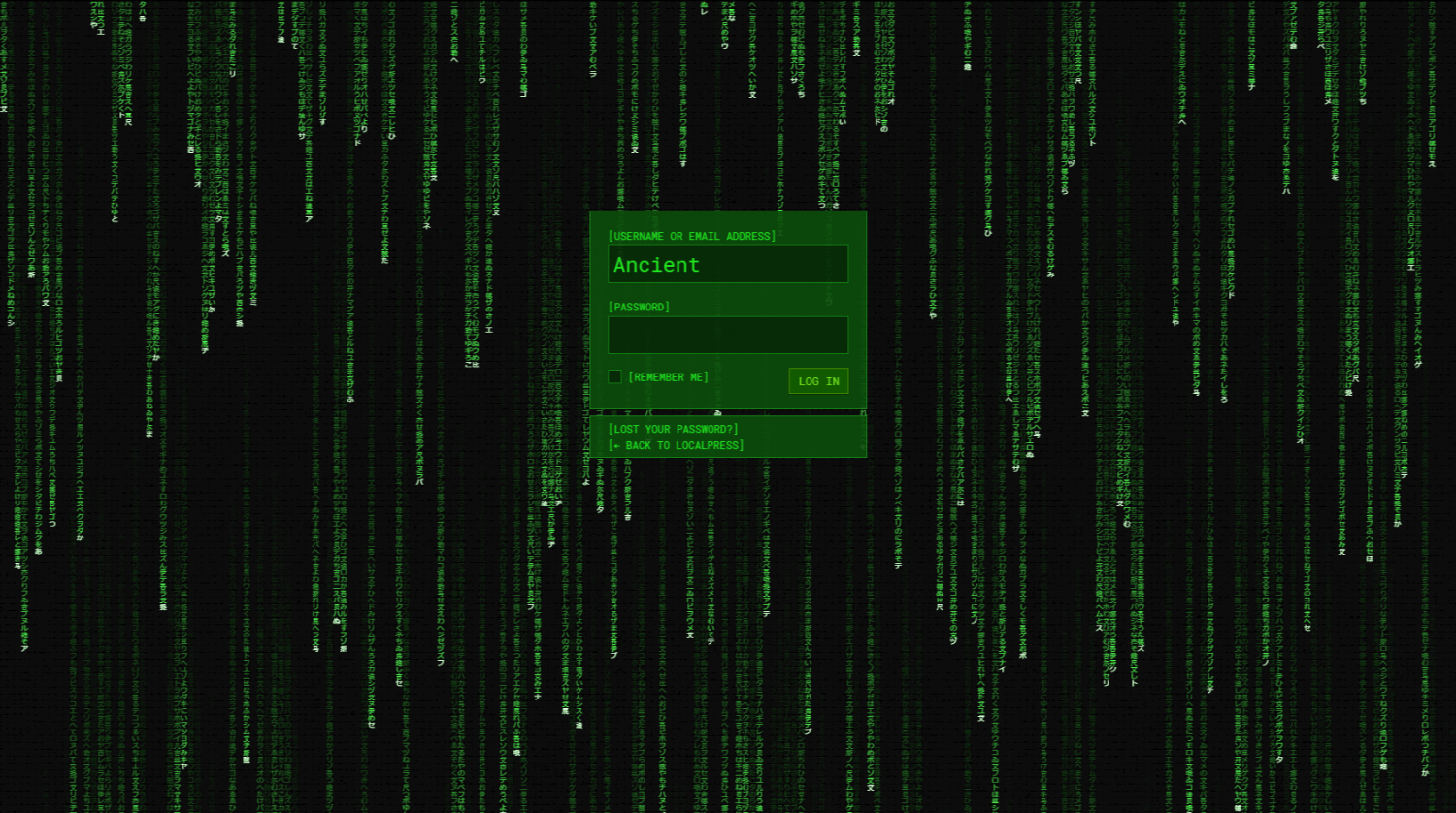 Code Rain - Custom pages for WordPress by CreativeTier | CodeCanyon