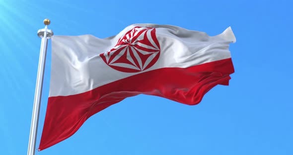 Flag of the Arpitan People, Motion Graphics | VideoHive