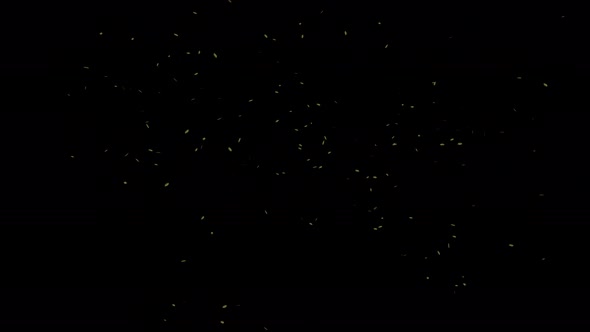 Falling Leaves Particle Effect, Motion Graphics | VideoHive