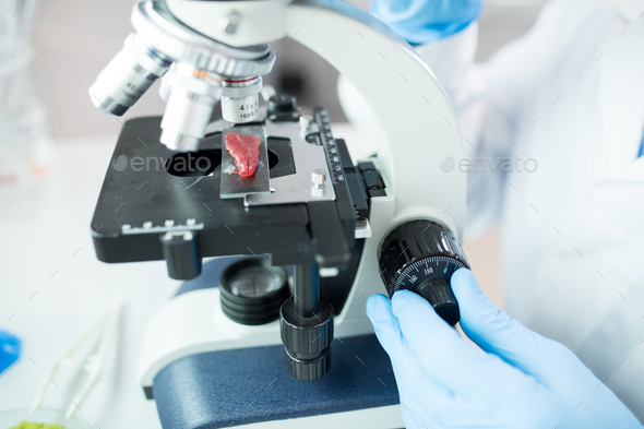 Scientist studying meat sample under microscope Stock Photo by ...