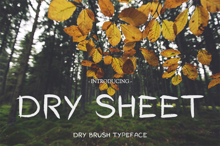 Dry Sheet, Fonts | GraphicRiver