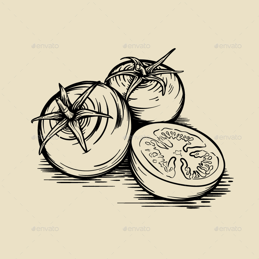 Tomatoes, Vectors | GraphicRiver
