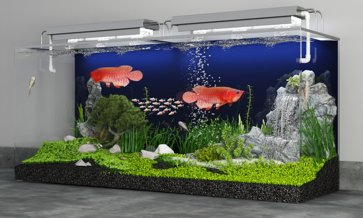 Arowana aquarium by tranduyhieu | 3DOcean