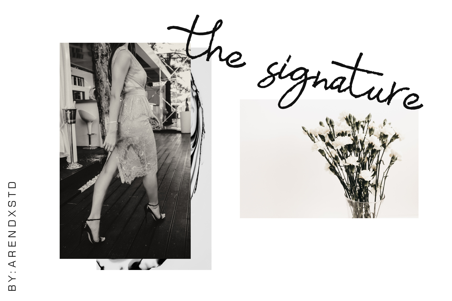 Sleeping Wild Signature, Fonts | GraphicRiver