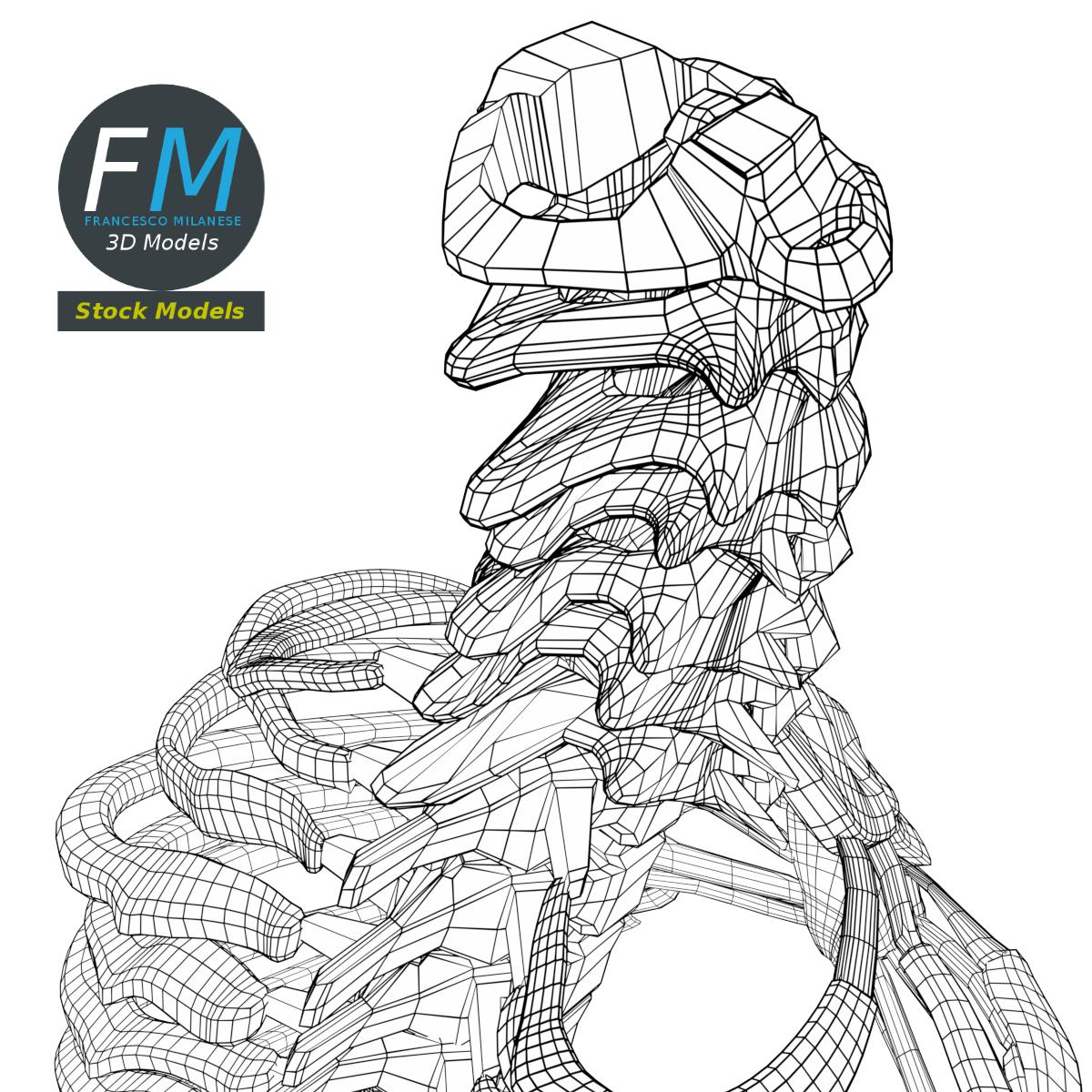 Anatomy - Human Spine Torso and Rib Cage by FrancescoMilanese85 | 3DOcean