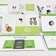 Pet Shop Google Slides Presentation Template, Presentation Templates