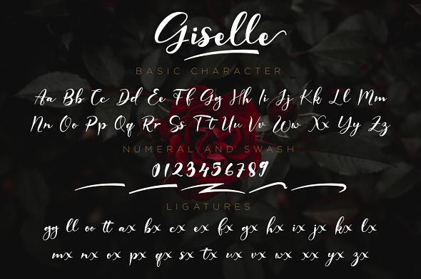 Gisella Script, Fonts | GraphicRiver