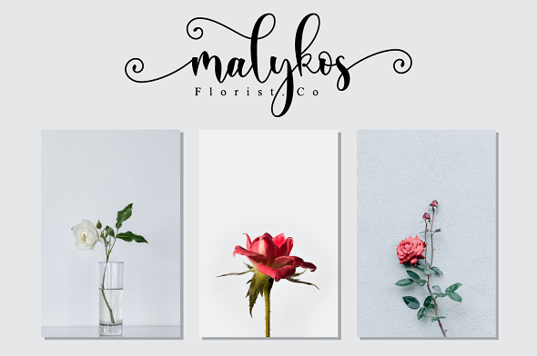 Ayalda Script, Fonts | GraphicRiver